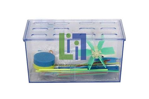 Second Grade Natural Experiment Box Manufacturers Suppliers