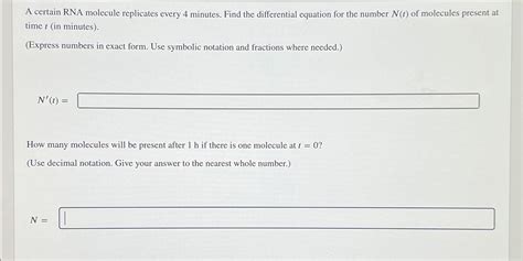 Solved A Certain Rna Molecule Replicates Every 4 ﻿minutes