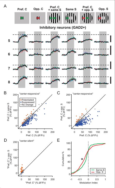 Figure 3 From Bidirectional Encoding Of Motion Contrast In The Mouse