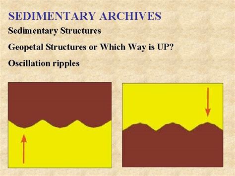 Sedimentary Archives Sedimentary Structures Sole Marks Sedimentary Archives