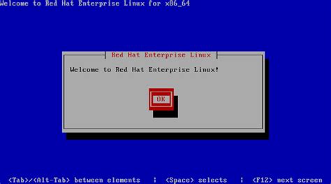 Install Red Hat Enterprise Linux In Text Mode ITzGeek