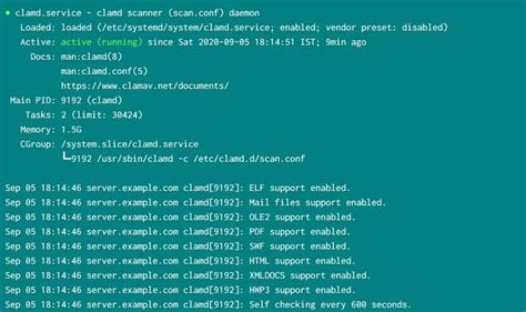 Simple Steps To Install Configure ClamAV In CentOS GoLinuxCloud