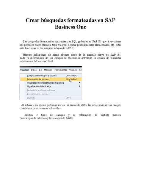 Crear Busquedas Formateadas En Sap Busin Pdf Sql Gestión De Datos