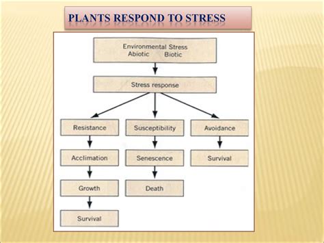 Crop Modeling For Stress Situation Ppt