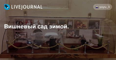 Вишневый сад зимой Yuyu Li — Livejournal
