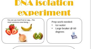 DNA Isolation Experiment Handouts And Rationale By Clodagh Wheeler