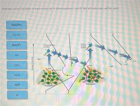solved indicate correct location of each molecule in