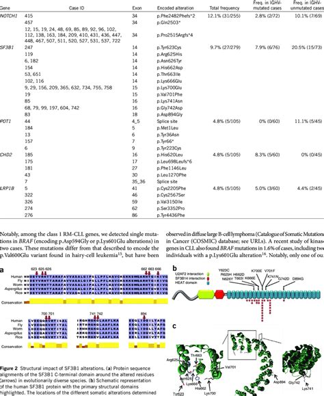 Most Common Recurrently Mutated Genes In Cll Download Table