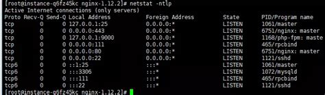linux解决nginx emerg bind to failed Address already in use 幸运摩登 博客园