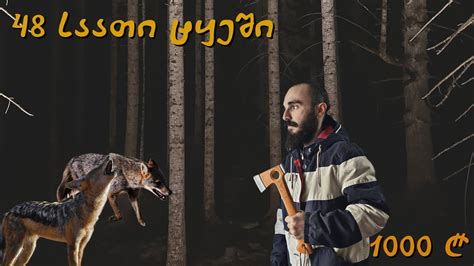 48 საათი ტყეში 1000₾ Vs 100₾ ჩელენჯი ალფა ტურა ღამით ეპ 2 Youtube