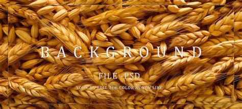 Golden Wheat Spikes Close Up Premium Ai Generated Psd