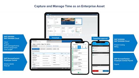 Service Organizations Time Tracking Solution On Sap Replicon