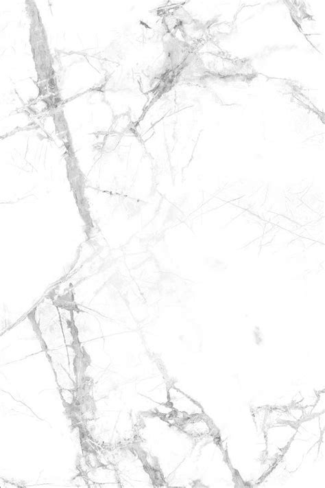 Spc Calacatta Snow