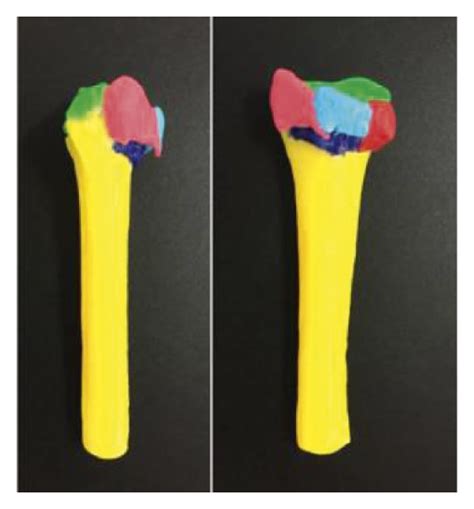 3d Printed Solid Model Visually Showing Fracture Morphology Download Scientific Diagram