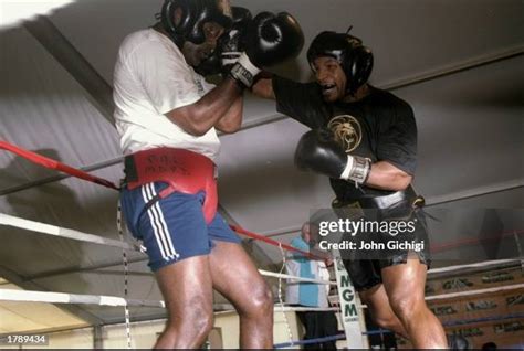 Golden Glove Gym Photos And Premium High Res Pictures Getty Images