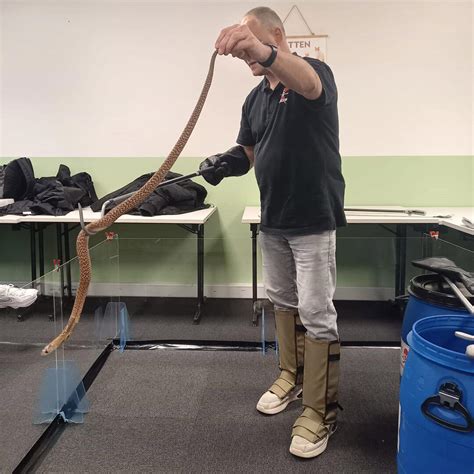 Clem Kouijzer On Linkedin Tig Reptielen Workshop