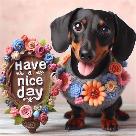 56 Dachshund Funnies Ideas In 2025 Dachshund Dachshund Love Funny