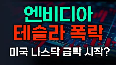 테슬라 주가 급락 나스닥 증시에 미치는 영향 분석 Youtube