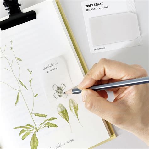 MochiThings Small Index Tracing Sticky Note MochiThings Small Index Tracing Sticky Note