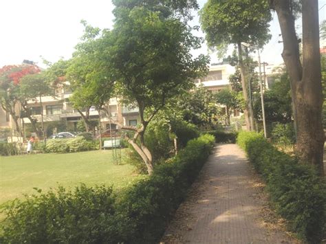 Singing Tree In Kamyani Park Samvada Broadcast