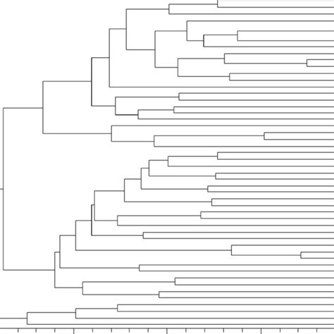 Dendrogram Of 50 Iranian Basil Accessions Generated By The Upgma
