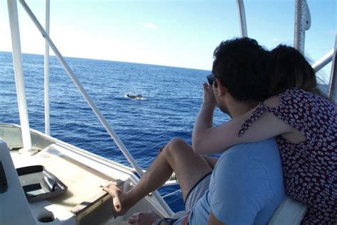 테네리페에서 현지 승무원과 함께하는 고래와 돌고래 투어 Kkday