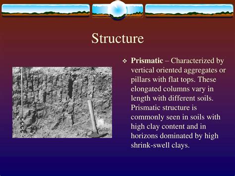 Ppt Important Soil Properties Powerpoint Presentation Free Download