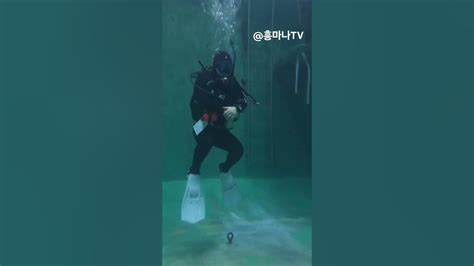 호버링 편한호흡 우주에 떠있는기분🫡스쿠다이빙asmr레슨오픈워터자세교정흥마나tv어드밴스다이빙교육스노쿨링스쿠버리뷰cpr스킬업체험다이빙박진흥강사레슨교육