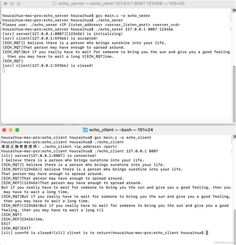 Tcp单进程循环服务器与单进程客户端（简单回声）echo Server Csdn博客