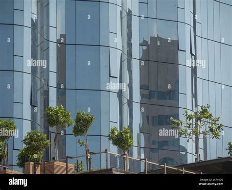 Modern Glass Façade Reflecting Other Buildings Small Trees In Front