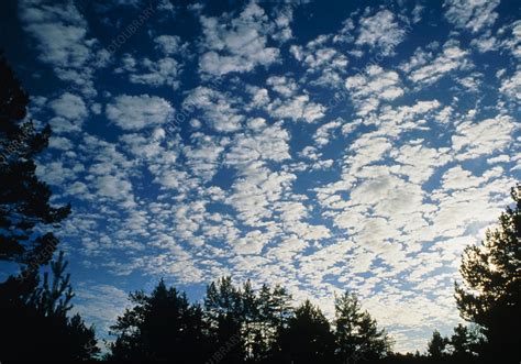 Cirrocumulus Clouds Forming A Mackerel Sky Stock Image E1200380