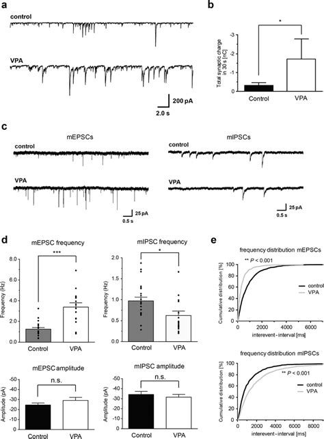 Increased Spontaneous Synaptic Activity And Alterations In Mepsc And