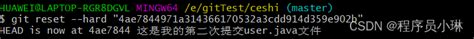 Git保姆级使用教程，超详细，带你了解常用git命令！ Csdn博客
