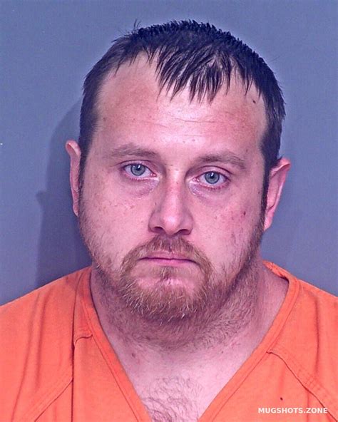 Wallace Jr Daniel Wayne 02072024 Baldwin County Mugshots Zone