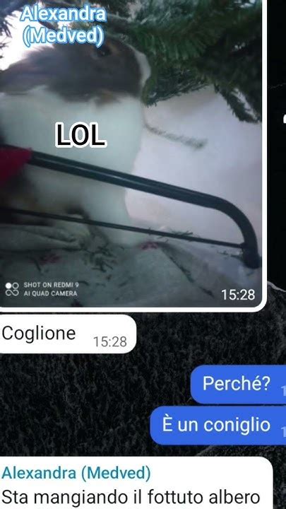 Meme Assurdo Youtube