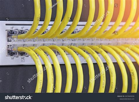 Connecting Ethernet Switch Using Patch Cords Stock Photo Shutterstock