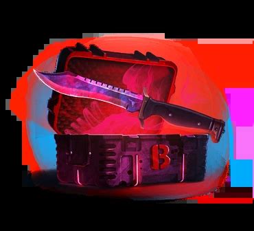 Doppler Case CS2 Best Skins Open On BloodyCase