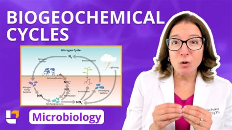 Metabolism Biogeochemical Cycles Microbiology Leveluprn