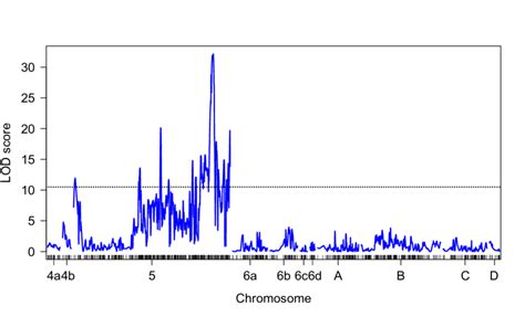 qtl analysis using the binary interval mapping model results indicate