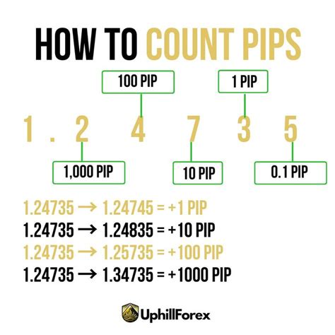 How To Count Pips