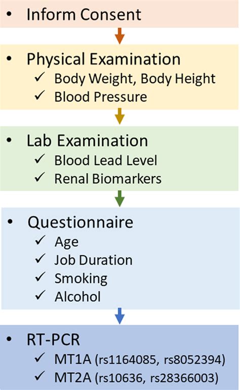 Schematic Diagram Of Protocol Download Scientific Diagram