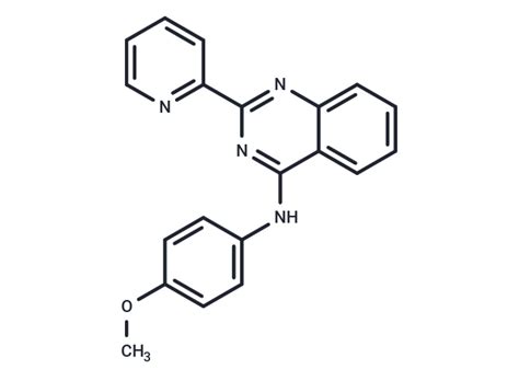 Group II Intron IN 1 TargetMol
