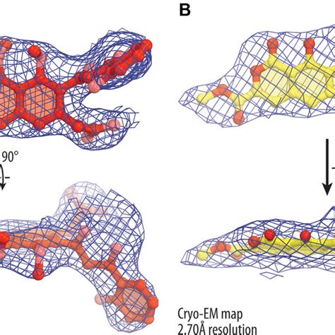 X Ray And Cryo Em Maps Of Ribosome Bound Thermorubin A 2fo Fc Download Scientific Diagram