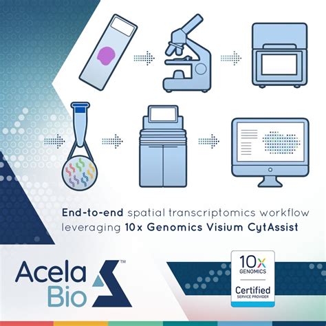 Acelabio On Linkedin Spatialtranscriptomics