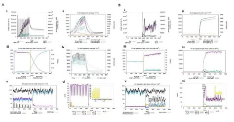In Silico Immune Expression Of The Vaccine Construct Panel A