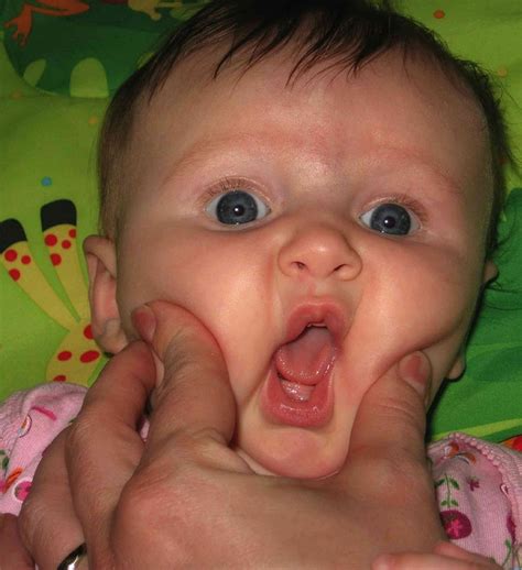 Explainer What Is Cute Aggression