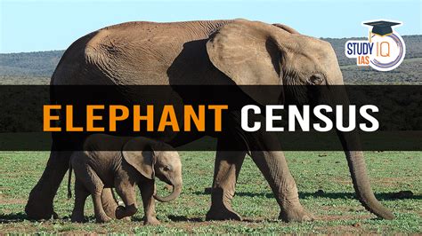 Elephant Census Key Findings Of Status Of Elephant In India 2022 23 Report
