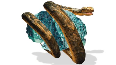 Ix Workshop Data Science Mit Python Heise Online