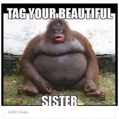 Gavin Gordon Youtube