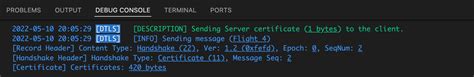 dtls handshake webrtc nuts and bolts